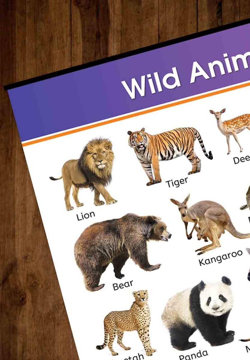 Wild Animals Learning Chart | Learning Charts for Kids Online